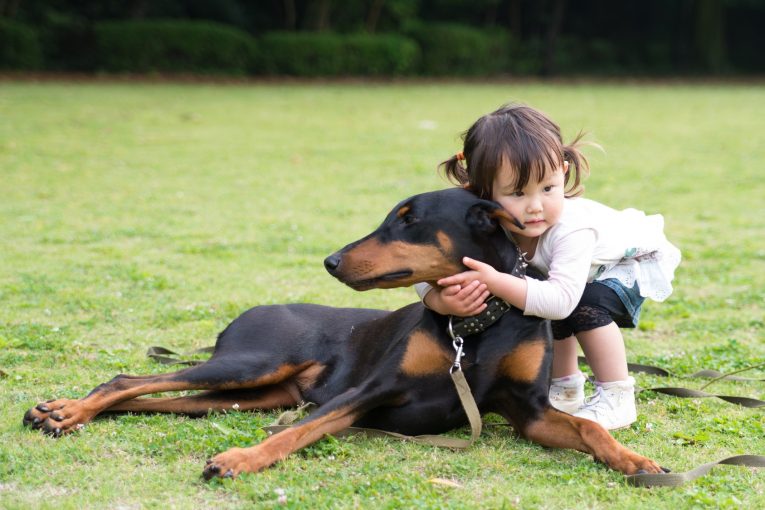 How To Protect Children From Dog Bites