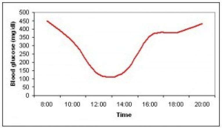 How To Prevent Diabetes In Dogs - Read Before You're Too Late
