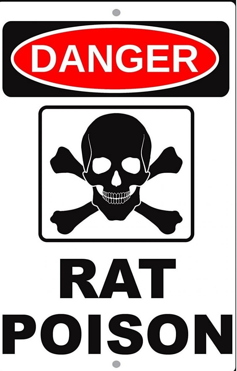 How To Treat Your Dog for Rat Poison Ingestion (First-Aid, Recovery ...