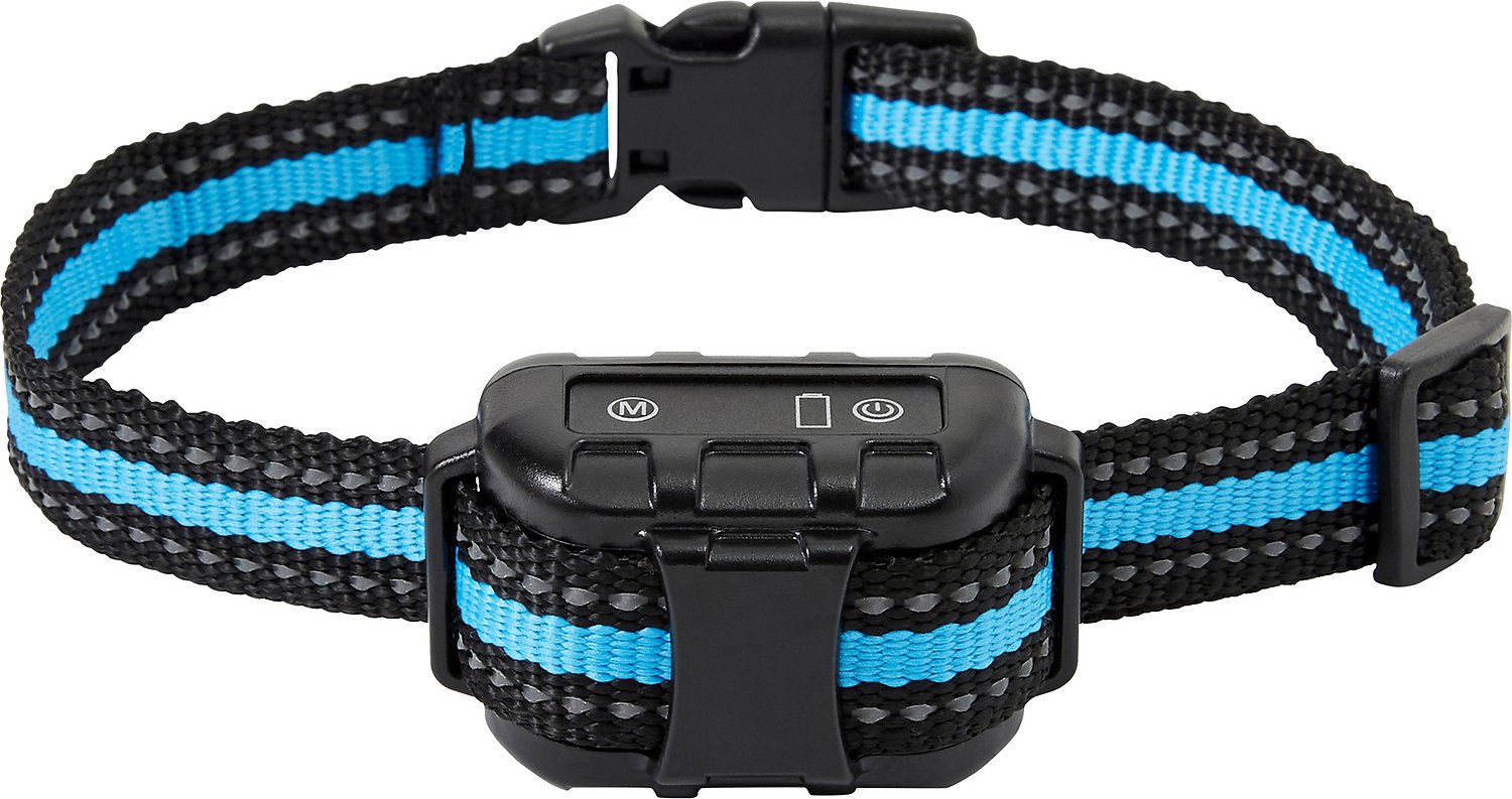 12 Best Bark Collars of 2023 [For All Sizes And Temperaments]