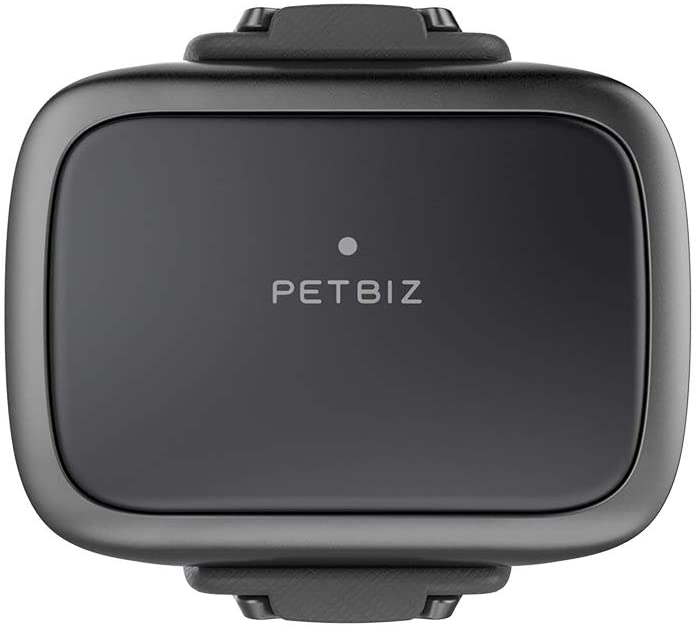 12 Best Dog GPS Trackers of 2023 [Monitor Location, Health, & More]