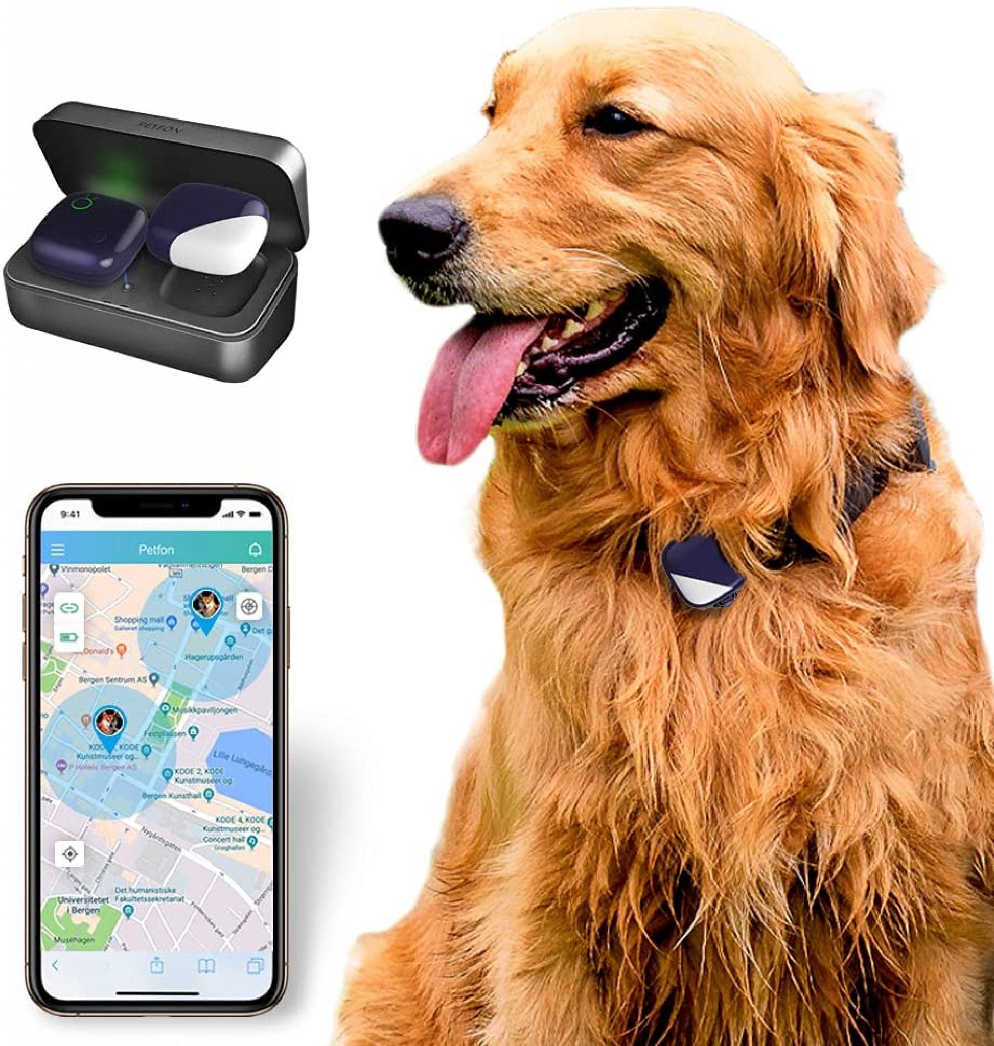 12 Best Dog GPS Trackers of 2022 [Monitor Location, Health, & More]