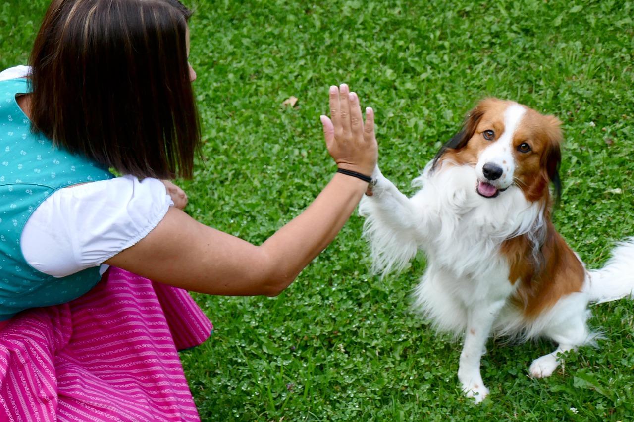 12 Dog Training Hand Signals [And How To Use Them]